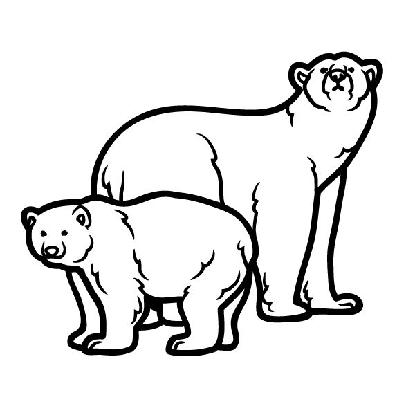 Disegni Orsi e Orsetti da Colorare e Stampare: PDF Gratis - GBR