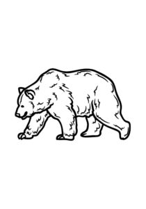 Disegni Orsi e Orsetti da Colorare e Stampare: PDF Gratis - GBR