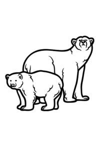 Disegni Orsi e Orsetti da Colorare e Stampare: PDF Gratis - GBR